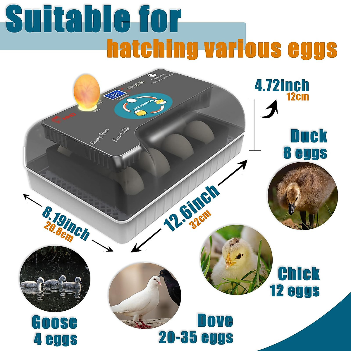 SSZYace 12-35 Egg Incubator, Incubators for Hatching Eggs with Automatic Turner, Egg Candler and Temperature Display, for Chicks, Quails, Ducks, Small Poultry