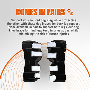 NeoAlly X-Large (1 Pair) Dog Rear Leg Brace with Metal Spring Strips, Harness for Hock & Ankle Support, Large Breeds, Breathable, Adjustable