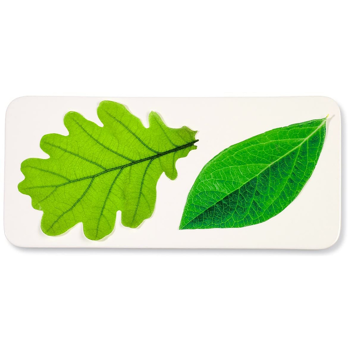 Parchment Paper Leaves for Cheese & Charcuterie Boards - Sisson Distribution Leaves (Pack of 20) (Spring Leaves)