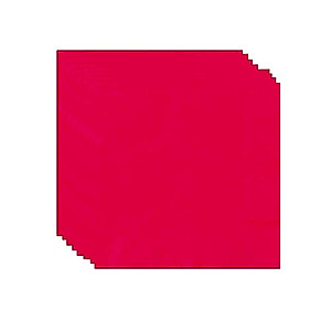 Turbo The Movie Birthday Party Supplies Decoration Bundle for 16 Includes Plates, Napkins, Invitations with Thank You Notes, Loot Bags