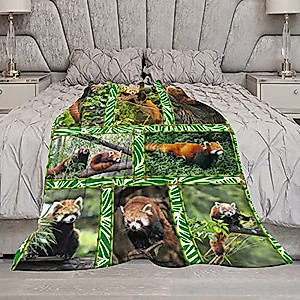 Red Panda Blanket Gifts, 30"x40" Red Panda Throw Soft Flannel Blanket for Kids Adults, Warm Lightweight Cozy Fuzzy Plush Red Panda Lover Gifts for Bed Couch