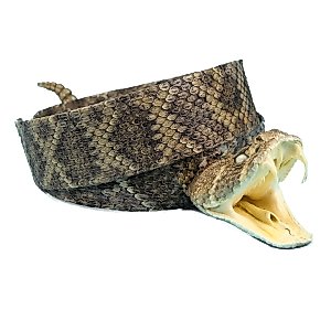 1.25" Rattlesnake Hat Band with Head & Rattle (598-HB204)