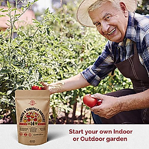 14 Rare Tomato & Tomatillo Garden Seeds Variety Pack for Planting Outdoors & Indoor Home Gardening 800+ Non-GMO Heirloom Tomato & Tomatillo Seeds: Beefsteak, Roma, Pear, Thai, Cherry Tomatoes & More