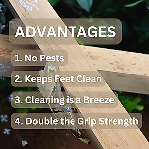 GECKOPIA Reptile Flex Bridge, 2-Pack | Reptile Bridge | Gecko Bridge | Gecko Ledge | Reptile Vine | Reptile Terrarium Decoration | Reptile Branch Alternative (Brown)