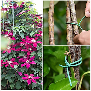 YDSL 88 feet Garden Flexible Wire, Soft Twist Plant Ties for Plant Vines and Office Organization (Diameter - 3MM)