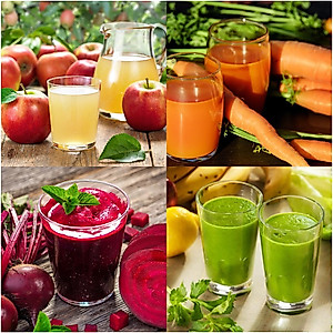 Dominion Juicer Machine, 600W Juicer with 3” Wide Mouth for Whole Fruits and Vegetables, Centrifugal Juice Extractor, Easy to Clean, Stainless Steel, BPA Free