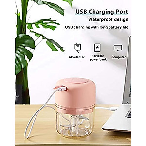 AYOTEE Cordless Electric Small Food Processor, Mini Food Chopper For Garlic Veggie Vegetables Fruit, Salad Mincing & Puree, Kitchen, 1 Cup 250ML, BPA free, Pink