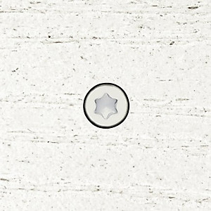 Headcote 7 x 1-5/8" - 39 White - Stainless Steel Trim Head Deck Screws - 350 pc. Deck Pack for 100 Sq. Ft. of Decking - STX39T07162