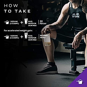 Mass Gainer, MuscleTech 100% Mass Gainer Protein Powder, Protein Powder for Muscle Gain, Whey Protein + Muscle Builder, Weight Gainer Protein Powder, Creatine Supplements, Chocolate, 5.15 lbs