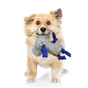rocket & rex No Stuffing Dog Toy | Unstuffed Dog Toys Set with Squeakers | Includes a Stuffing Free Rope Toy, Rubber Squeaker Toy and Plush Toy | for Small to Medium Breeds | Dog Stocking Stuffer
