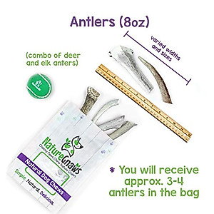 Nature Gnaws Antlers for Dogs - Premium Natural Deer and Elk Antler Chews - Long Lasting Dog Chews for Aggressive Chewers - Mix of Split and Whole
