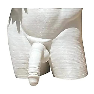 HFEHSKJ Body Vases for Decor, Unique Planter Resin Male Body Plant Pots, Unique Succulents Pot for Home Table Garden