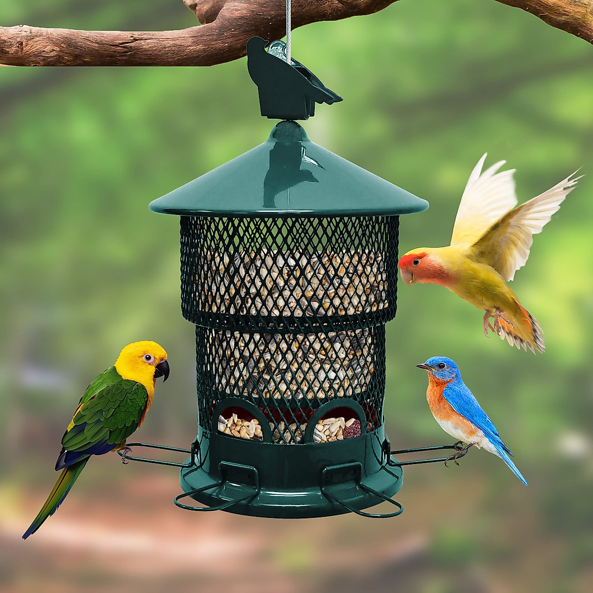 Bird Feeders for Outdoors Hanging, Way2Furn Wild Bird Feeder Squirrel Proof, Adjustable Metal Outside Feeder with 3.8 lbs Seed Large Capacity for Cardinal, Sparrow, Finch, Chickadee (Green)