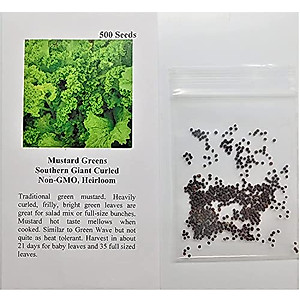 David's Garden Seeds Mustard Greens Southern Giant Curled FBA-00055 (Green) 200 Non-GMO, Heirloom Seeds