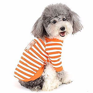 Zunea Dog Shirts for Small Dogs Girl Boy Summer Puppy Vest Clothes Soft Cotton Striped Sun Protection Tee Shirt Short Sleeve Pet Dog Chihuahua Apparel Cat Clothing Orange XL