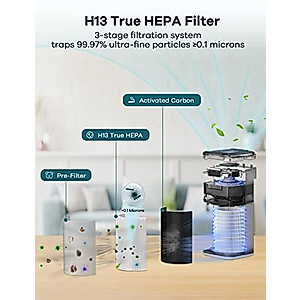 Welov P200S Air Purifiers for Home Large Room with An Extra H13 True HEPA Filter Bundle