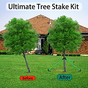 Tree Stakes Kit, Heavy Duty Tent Stake Tree Staking and Supports for Hurricane Protection - Garden Stakes Straightening Kits, Include 3 PCS Straps, 3Pcs Tree Stakes, 3Pcs Rope(16 in)