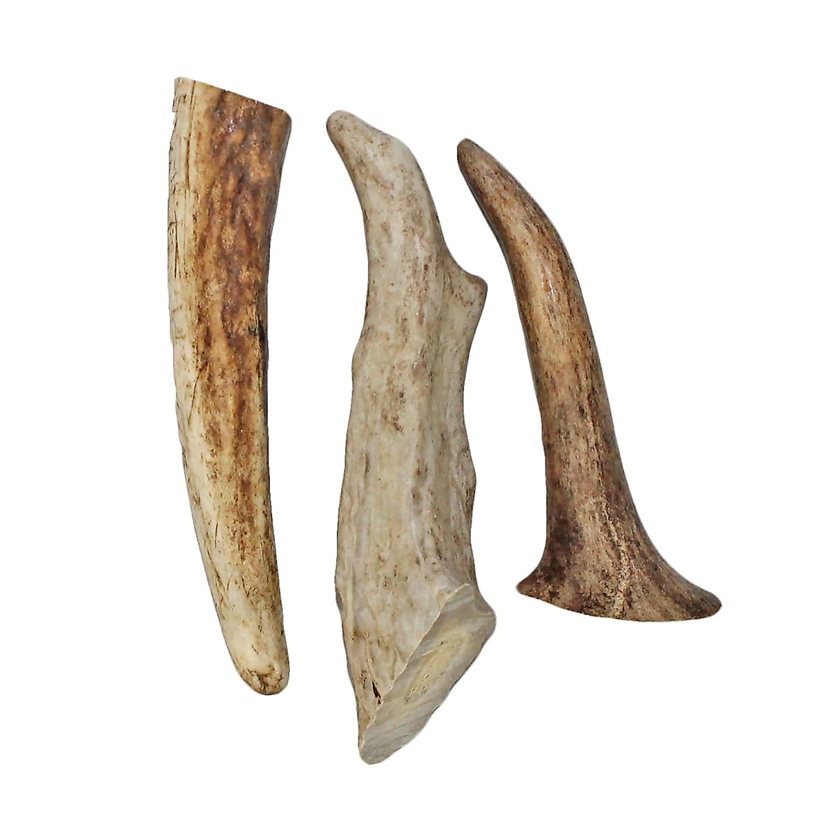 Exotic Nutrition Antler Chews - Safe Small Animal Chew - Natural Source of Healthy Minerals - Chinchilla, Hamster, Degu, Prairie Dog, Squirrel and Other Chewing Pets