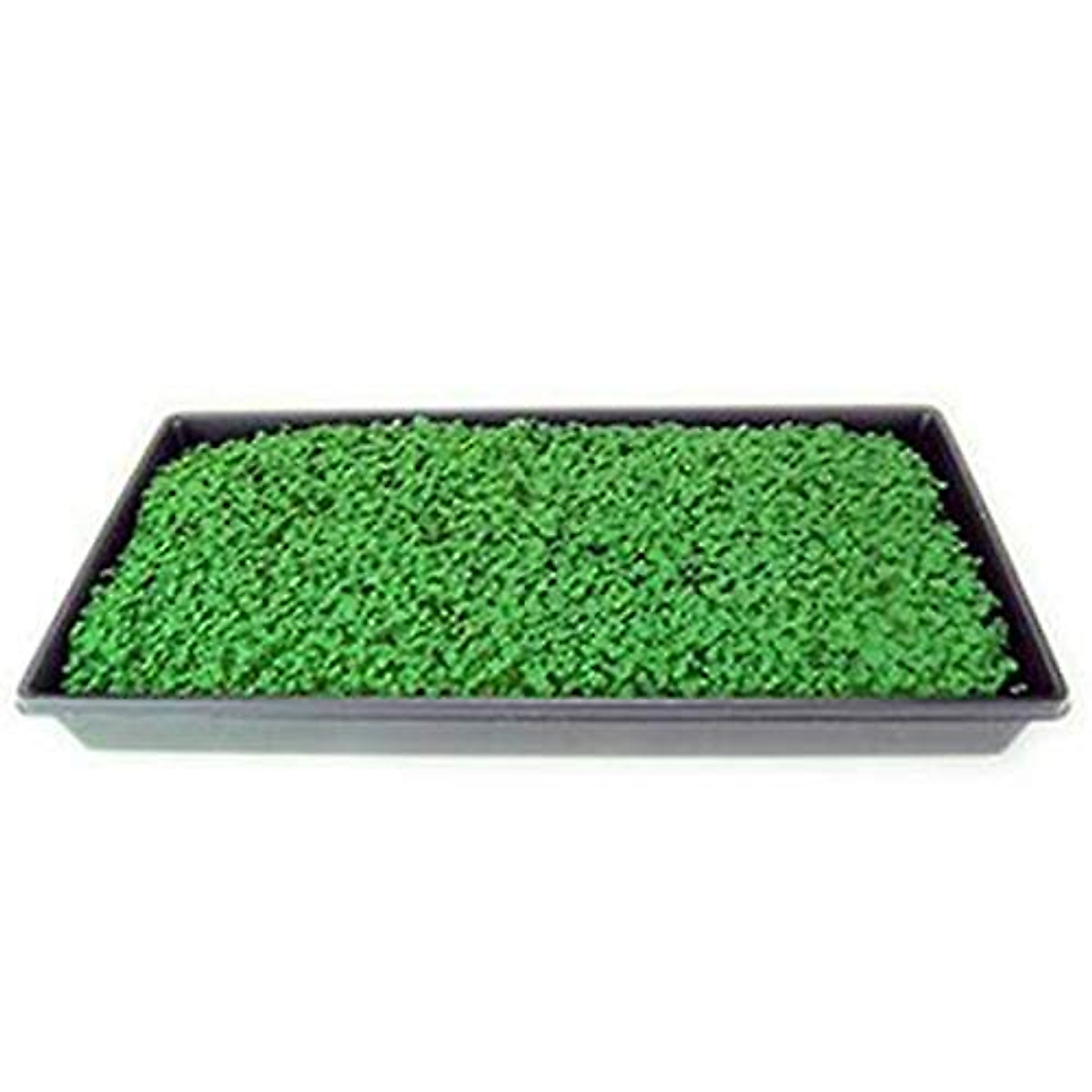 Chia Seeds - 4 Oz. Resealable Bag - Use for Indoor Gardening, Growing Microgreens & More - Micro Greens Salad Garden