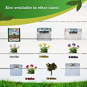 Digger’s 1-Gallon Heavy-Duty Wire Basket - Gopher Wire Basket for Perennials & Vegetables (12 Baskets)