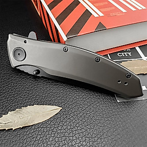 Goshawk EDC Folding Pocketknife, 2.67" 440C Steel Plain Edge Blade Stainless Steel Handle, Assisted Opening, Frame Lock,Tactical knife for Camping, hunting (3.5 inch)