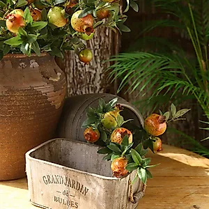 æ— 3 Pack Artificial Pomegranate Branches, 31.5 Inch Faux Rosehip Berries Flower Stem Simulation Long Stem Fruit Bouquet for Garden Home Restaurant Patio Shop Window Decor