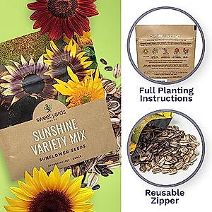 Sunflower Variety Mix 10 Types of Beautiful Sunflowers - Bulk 1 Ounce Packet - Open Pollinated Sunflower Seeds