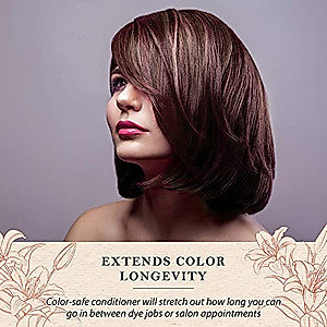 Begin Beautifully Color-Safe Shampoo, Conditioner and Blow-Dry Detangler Spray Set For Natural and Curly Hair - Color-Safe to Minimize Fading