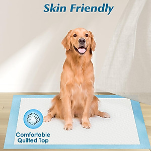 100 Count 22” x 22” Super Absorbency Disposable Underpads, Leakproof Quick Drying Disposable Pads for Baby, Puppy and Adults, Puppy Pads, Cat Pee Pads for Dogs, Potty Puppy Training Pads