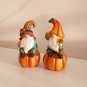 Etistta 2PCS Fall Gnome Pumpkin Decor for Harvest Thanksgiving Figurine, 6.5 inch Polyresin Gnomes Figurine for Home Tabletop Garden Holiday Decorations