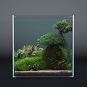 Landen 30C 6.6 Gallon Rimless Low Iron Aquarium Tank, W11.8×D11.8×H11.8 in(30x30x30cm) 5mm Thickness with Nano Foam Leveling Mat Included