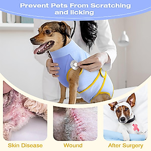 IDOMIK Dog Surgery Recovery Suit, Soft Dog Spay Neuter Recovery Onesie Bodysuit After Surgery for Male Female Dogs Cats, E-Collar Cone Alternative Anti-Licking Abdominal Wounds,S