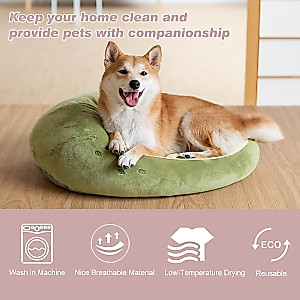 Hi Sprout Female Dog Diaper Reusable Washable Durable Absorbent Cloth Doggie Diapers Pants-Butterfly and Toucan XS