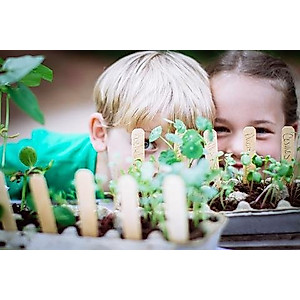 Backyard Safari Company Grown Herb Garden (GG-H)