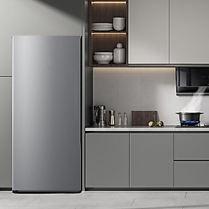 Smad 21 Cubic Feet Stand Up Freezer, Convertible Freezer/Refrigerator with LED Light, Stainless Steel Frost Free Upright Freezer with Left Open Door for Kitchen, Home,Garage