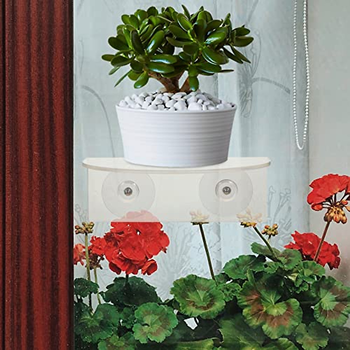 GANAZONO 1 Set Plant Support Plant Shelf Bonsai Stand Indoor Plant Pot Clear Plant Pot Wall Mount Floating Shelf Suction Cup Pot Racks Practical Plant Holders Suction Cup Plant Holders