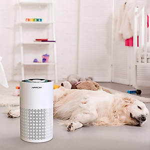 AIRROMI Air Purifiers with an Extrea Filter Covers Up to 990 sqft, Air Cleaner with Fragrance Sponge for Allergens Dust, Smoke, Odor, Dander, Pollen, H13 True HEPA 3-in-1 Filter Green