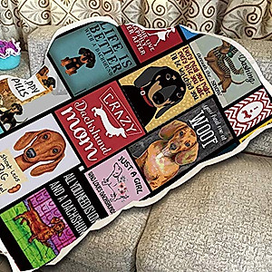 Ultra Soft 3D Printed Blanket Dachshund Dog Pattern Cozy Microfiber Plush Sherpa Blanket 2 Sizes Warm Fuzzy Throw Blanket for Kids and Adults Throws Blankets (Style02, 150cm x 200cm(59'' x 79''))
