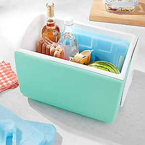 Amazon Basics Reusable Hard Sided Rectangular Ice Pack, Pack of 4, Large, Blue, 10.4" X 7.9" X 1.2"