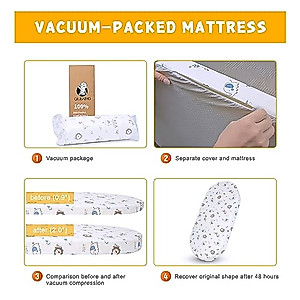 QIUBABYO Bassinet Mattress Pad,32"x16"x2" Breathable Cotton Cover,Waterproof Lining and High-Density Foam,Removable and Washable.Baby Cribs Topper for Moses Basket
