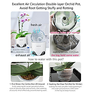 Meshpot 6 inch Orchid Pots with Holes,Set of 2,Double Layer Plastic Imitate Ceramic Orchid Planter Provide Good Air Circulation,Clear Orchid Pot Match Decorative Orchid Container