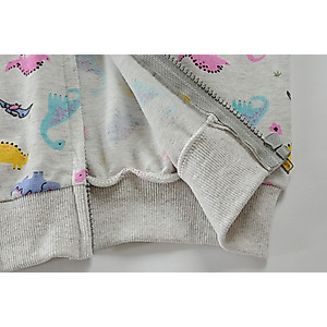 DDSOL Toddler Little Girl Zip Up Hoodie Grey Dinosaur Jacket Zipper Hooded Sweatshirt Long Sleeve Shirt Coat Outwear Cotton Kid Pullover Top Spring Fall Winter Clothes for Baby Size 5T