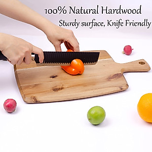 VieWood Acacia Wood Cutting Board with Handle & Hole - Wooden Kitchen Chopping Boards for Meat (Butcher Block) Vegetables and Cheese (17"x10")