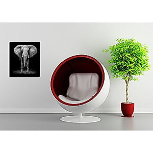 Inzlove Large Size Modern Animal Painting Black and White Elephant Canvas Wall Art Print for Living Room Decor (Framed 30x40inch)