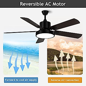 CLUGOJ Ceiling Fan with Light, Outdoor Black Ceiling Fan with Remote, 52-inch Black Ceiling Fan with 5 Reversible Walnut/Black Blades for Patio Farmhouse Bedroom, Matte Black