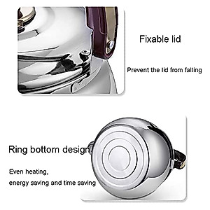 XENITE Classic Kettle Stove Top Whistling Kettle Whistling Kettle Large Capacity Anti-Scalding Handle Thick Stainless Steel Suitable for Various Stoves Camping Kettle Teapots