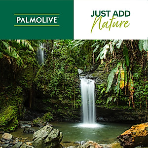 Palmolive Naturals Anti Dandruff 2 in 1 Hair Shampoo and Conditioner, 350mL