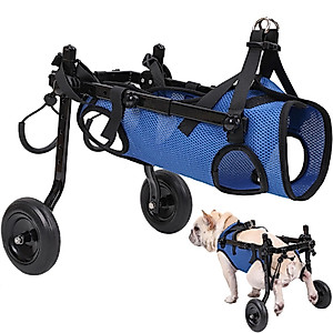 Adjustable Small Dog Wheelchair - Mobility Aid for Disabled Pets,Small Dog Wheelchair for Back Legs， Leg Brace & Hip Support (Middle)