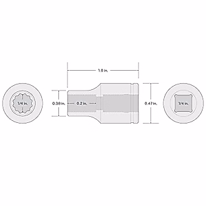 TEKTON 1/4 Inch Drive x 1/4 Inch 12-Point Socket | SHD02206