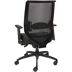Oak Hollow Furniture Reina Series Office Chair Ergonomic Executive Computer Chair with Breathable Fabric Seat Cushion and Mesh Back, Adjustable and Comfortable, Lumbar Support, Swivel and Tilt